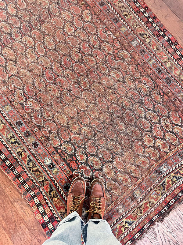 Antique Rugs – Frances Loom